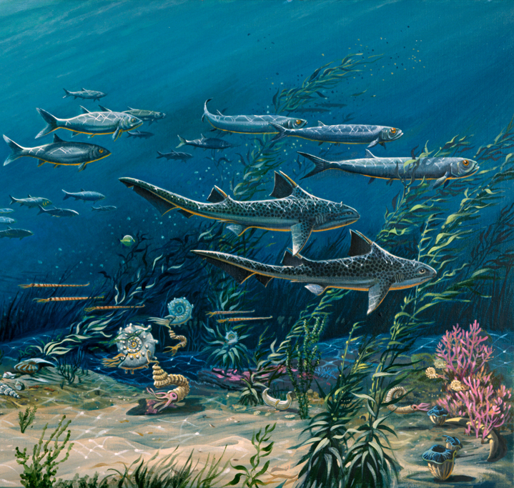 Smithsonian Ocean | Smithsonian Ocean