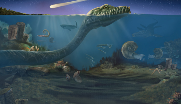 Ocean Through Time | Smithsonian Ocean