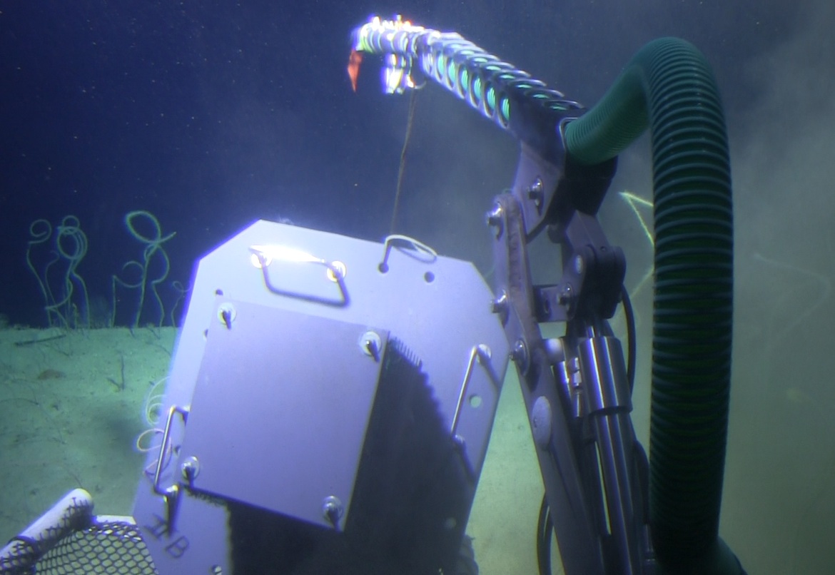 Uncovering Biodiversity… with ARMS and a Submarine Claw | Smithsonian Ocean