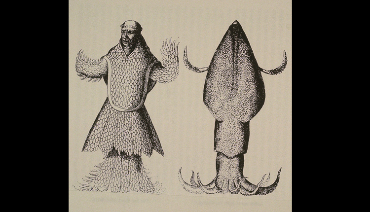 Giant Squid | Smithsonian Ocean