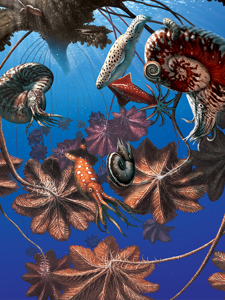 Ocean Through Time | Smithsonian Ocean