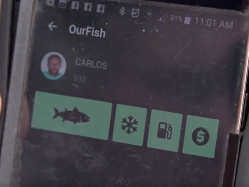 There’s an App for That: Using Phones to Help Make Fishing Sustainable ...