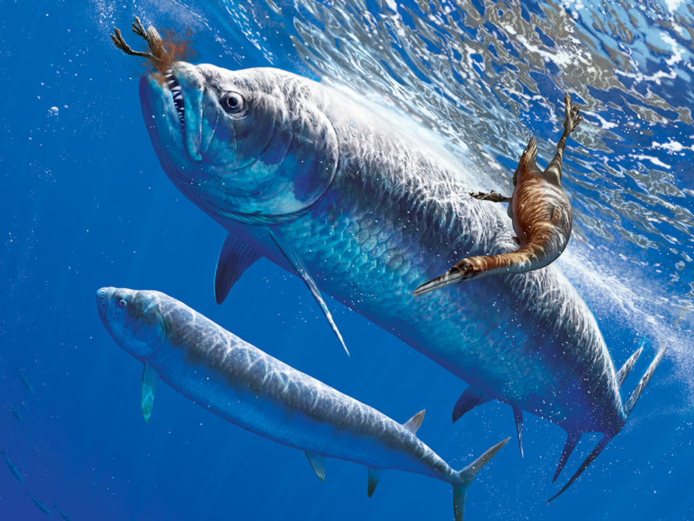 Ocean Through Time | Smithsonian Ocean