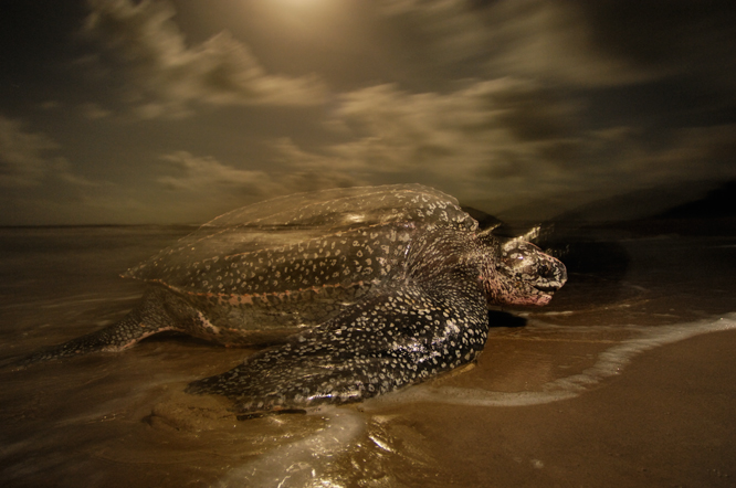 Sea Level Rise | Smithsonian Ocean