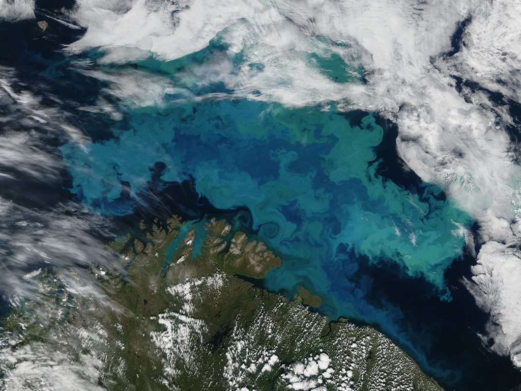 Ocean Acidification | Smithsonian Ocean Ocean Acidification | Smithsonian Ocean