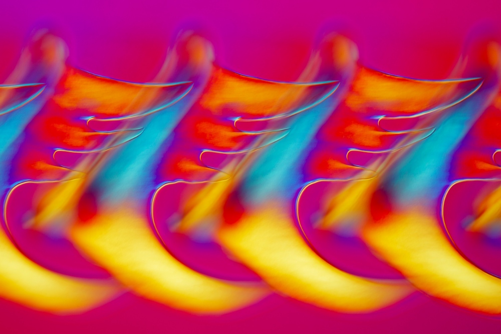 A Snail's Rainbow Radula | Smithsonian Ocean