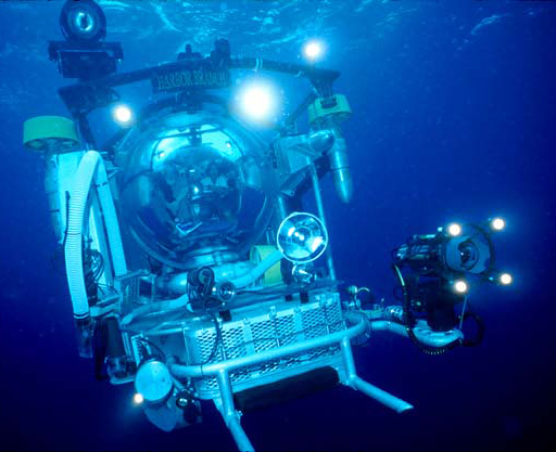 Deep-sea Corals | Smithsonian Ocean