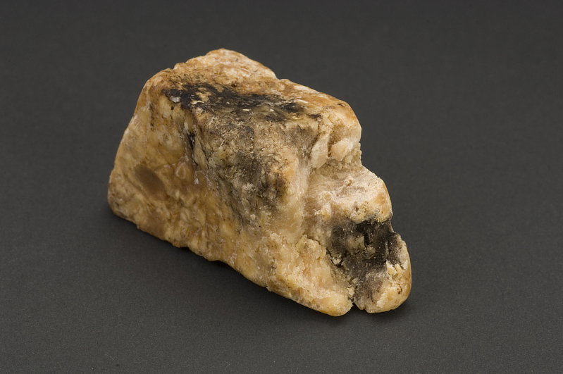 What is Ambergris? | Smithsonian Ocean