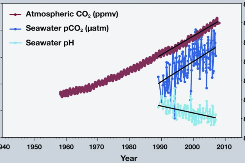 Ocean Acidification Graph | Smithsonian Ocean Ocean Acidification Graph | Smithsonian Ocean