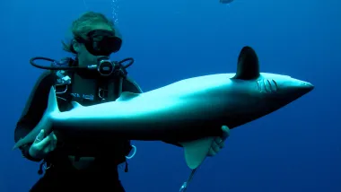 Madison Stewart | Smithsonian Ocean